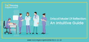 Driscoll Model of Reflection